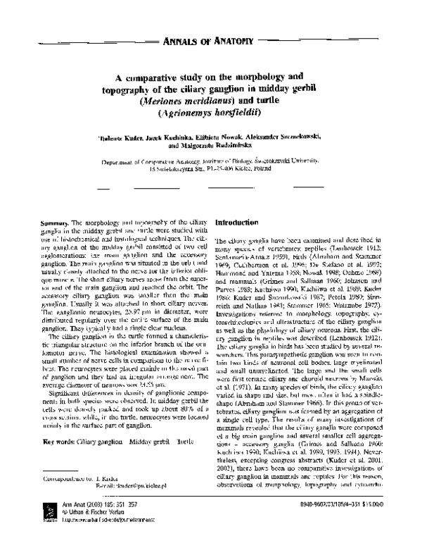 (PDF) A comparative study on the morphology and topography of the ...