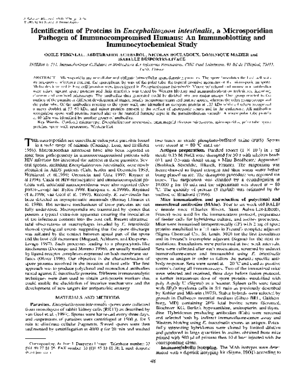 (PDF) Identification of Proteins in Encephalitozoon intestinalis, a ...