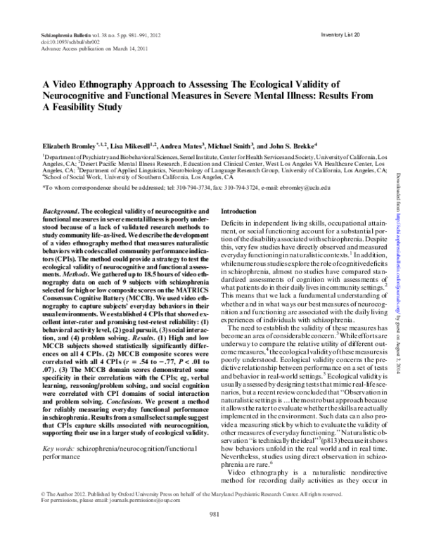 (PDF) A Video Ethnography Approach to Assessing the Ecological Validity ...