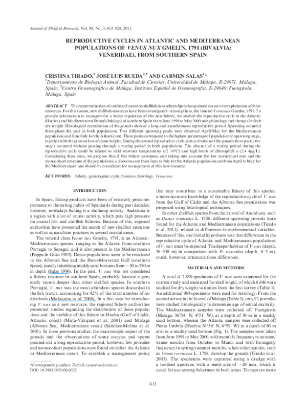 (PDF) Reproductive Cycles in Atlantic and Mediterranean Populations of Venus nux Gmelin, 1791 ...