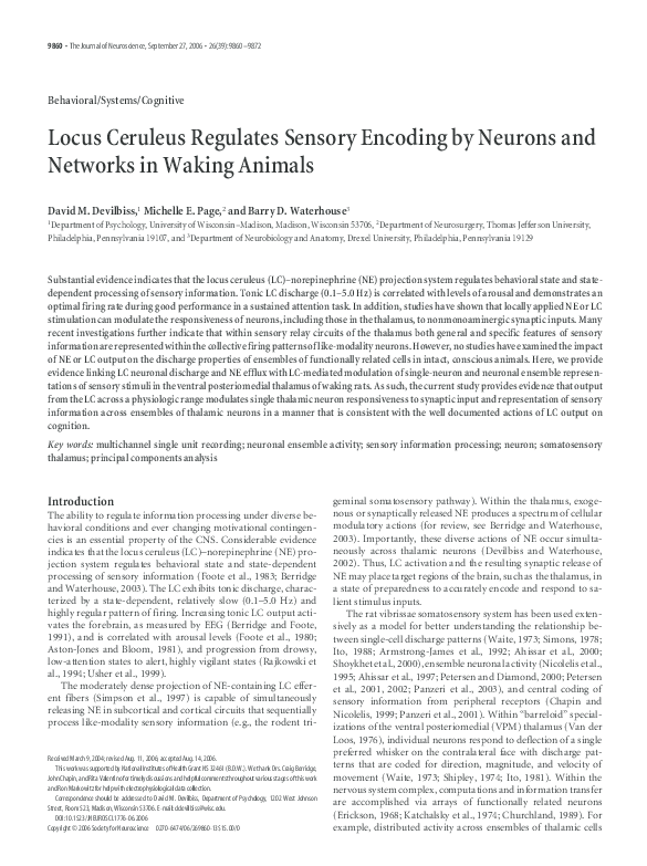 (PDF) Locus Ceruleus Regulates Sensory Encoding by Neurons and Networks ...
