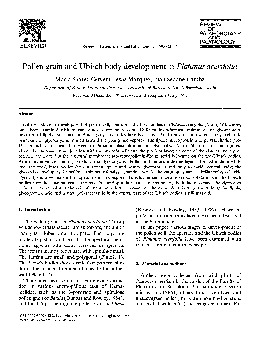 (PDF) Pollen grain and Ubisch body development in Platanus acerifolia