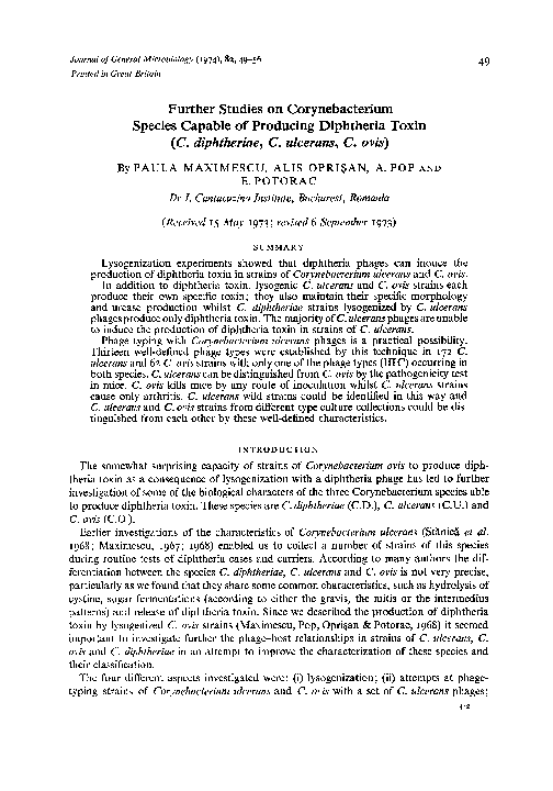 (PDF) Further Studies on Corynebacterium Species Capable of Producing ...