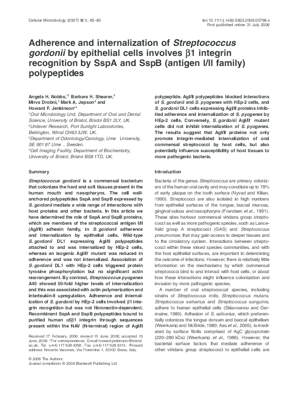 (PDF) Adherence and internalization of Streptococcus gordonii by ...