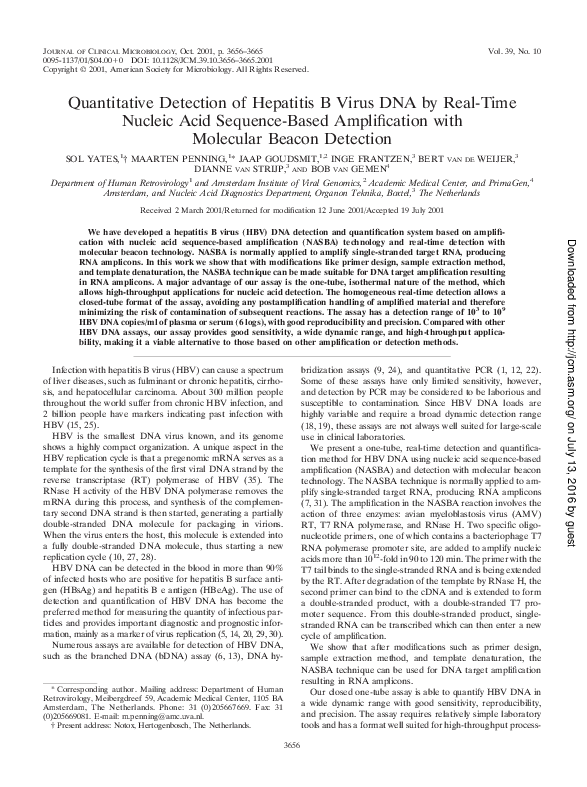 (PDF) Quantitative Detection of Hepatitis B Virus DNA by Real-Time Nucleic Acid Sequence-Based ...