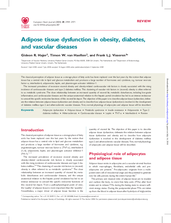 (PDF) Adipose tissue dysfunction in obesity, diabetes, and vascular ...