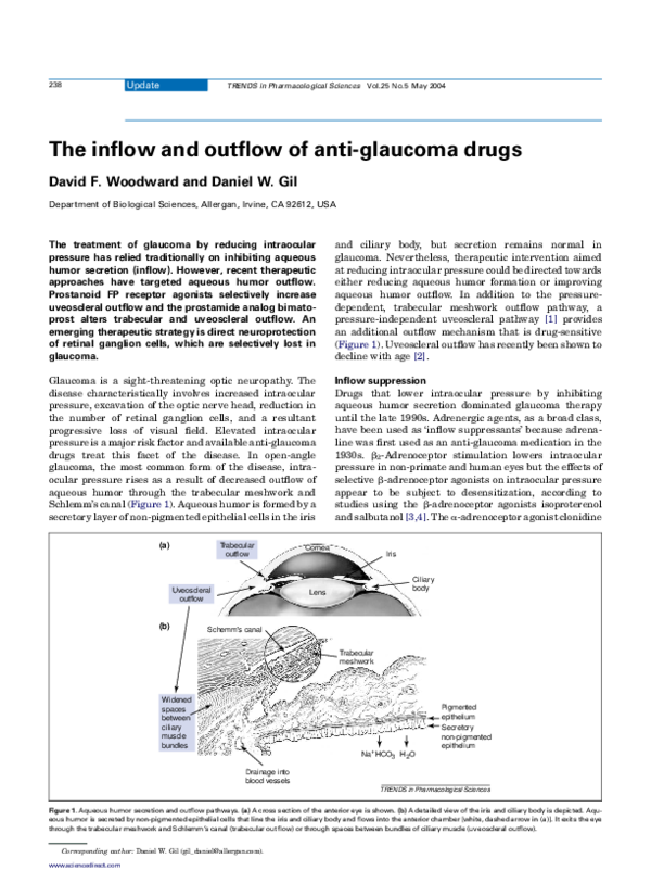 (PDF) The inflow and outflow of anti-glaucoma drugs