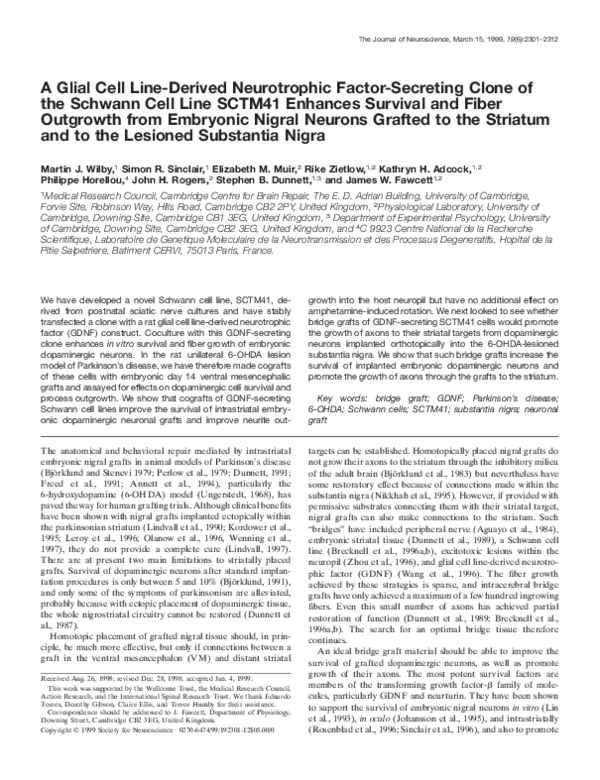 (PDF) A Glial Cell Line-Derived Neurotrophic Factor-Secreting Clone of the Schwann Cell Line ...