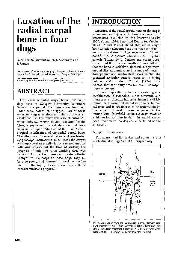 (PDF) Luxation of the radial carpal bone in four dogs