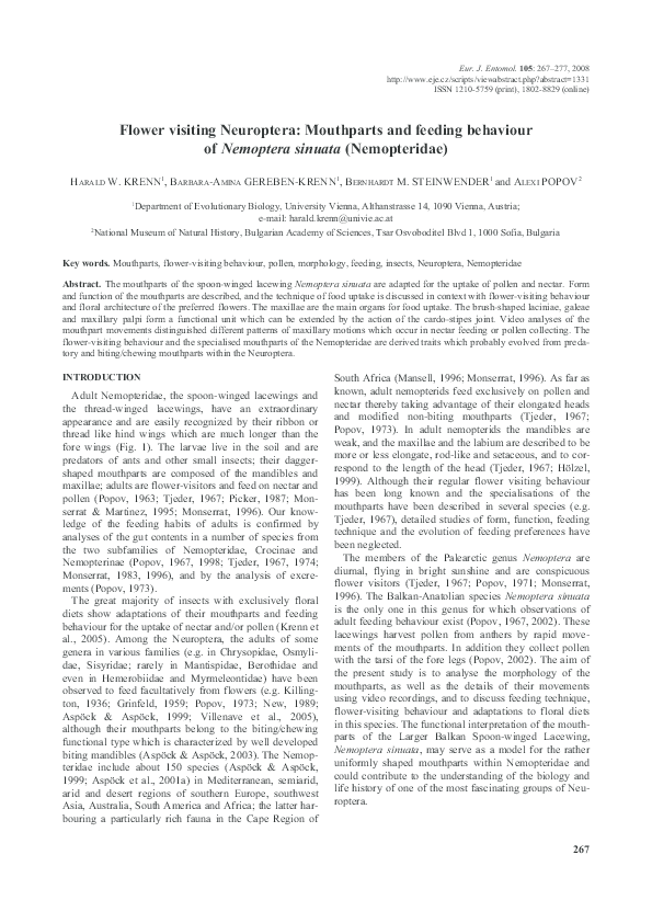 (PDF) Flower visiting Neuroptera: Mouthparts and feeding behaviour of ...