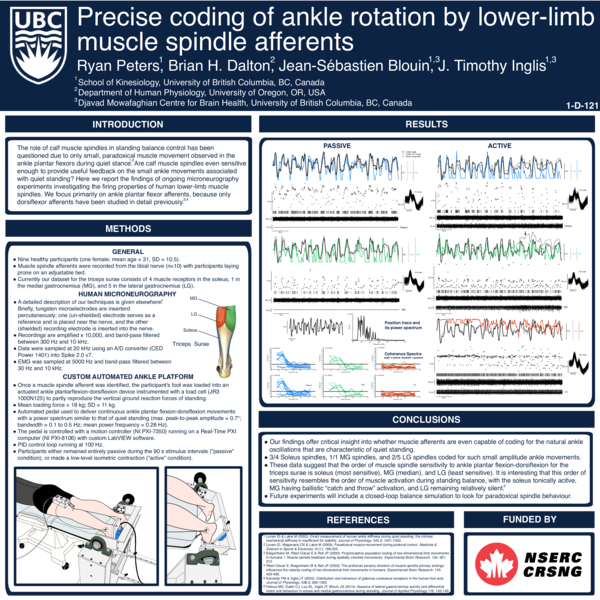 (PDF) Precise coding of ankle rotation by lower-limb muscle spindle ...