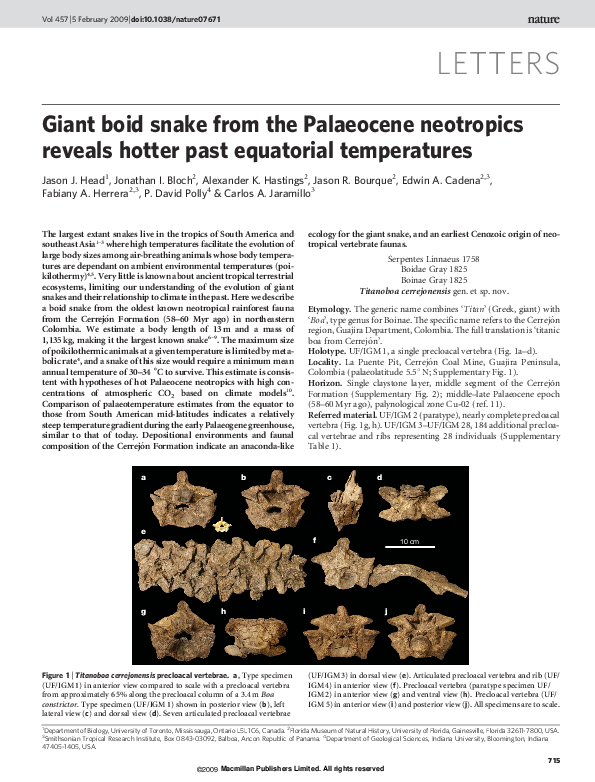 (PDF) Giant boid snake from the Palaeocene neotropics reveals hotter ...