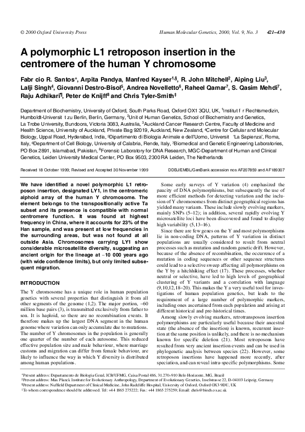 (PDF) A polymorphic L1 retroposon insertion in the centromere of the ...