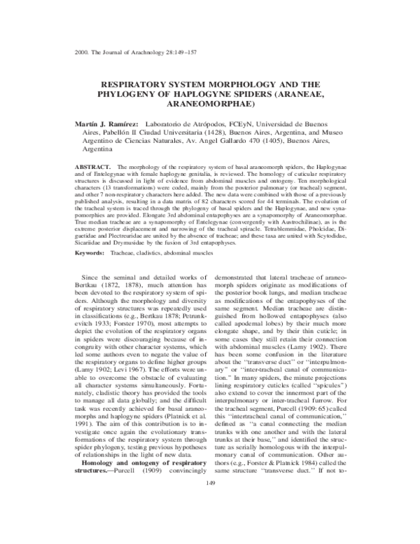 (PDF) RESPIRATORY SYSTEM MORPHOLOGY AND THE PHYLOGENY OF HAPLOGYNE ...
