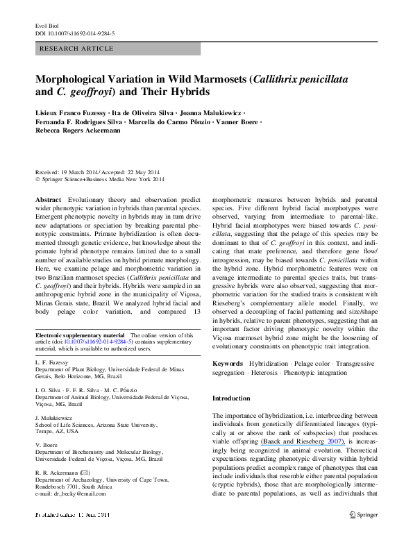(PDF) Morphological Variation in Wild Marmosets (Callithrix penicillata and C. geoffroyi) and ...