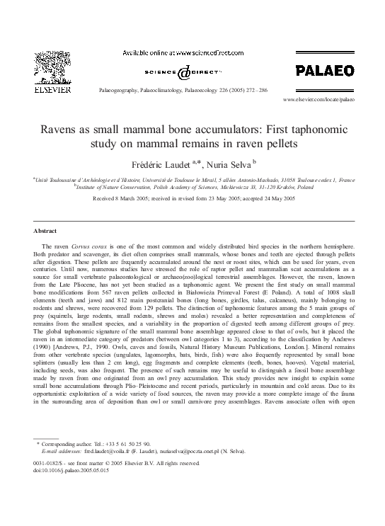 (PDF) Ravens as small mammal bone accumulators: First taphonomic study ...