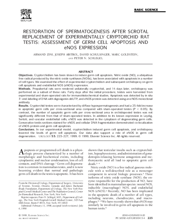 (PDF) Restoration of spermatogenesis after scrotal replacement of ...