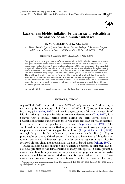(PDF) Lack of gas bladder inflation by the larvae of zebrafish in the ...
