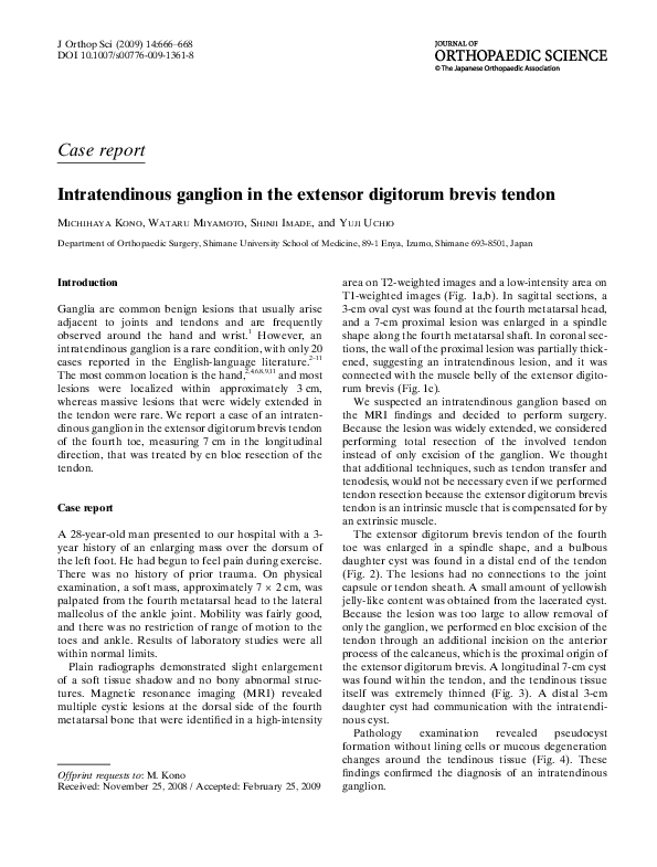 (PDF) Intratendinous ganglion in the extensor digitorum brevis tendon