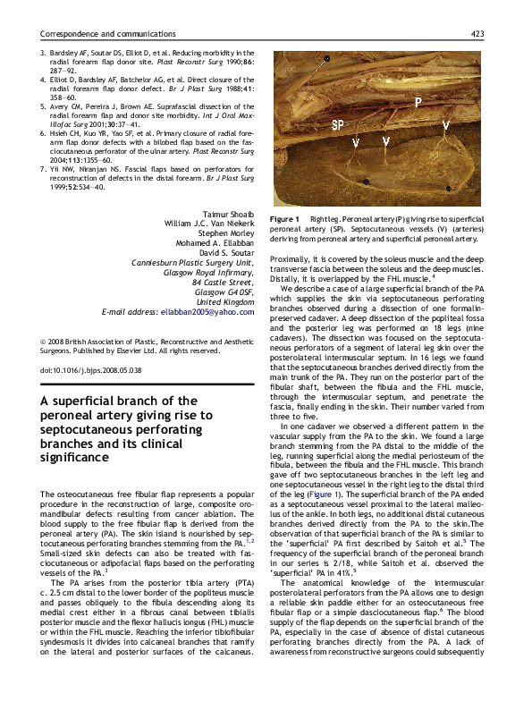 (PDF) A superficial branch of the peroneal artery giving rise to ...