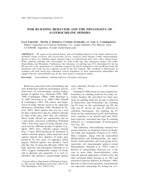(PDF) Web building behavior and the phylogeny of austrochiline spiders ...