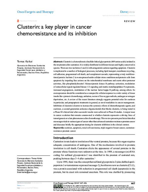 (PDF) Clusterin: a key player in cancer chemoresistance and its inhibition