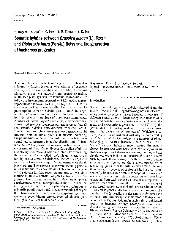 (PDF) Somatic hybrids between Brassica juncea (L). Czern. and ...