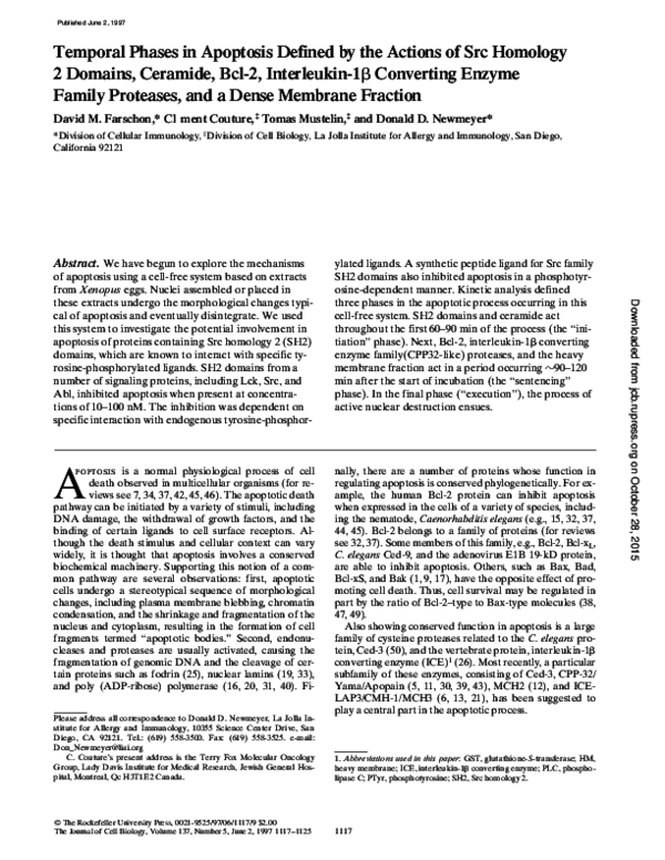 (PDF) Temporal Phases in Apoptosis Defined by the Actions of Src ...