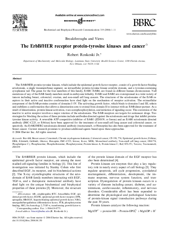 (PDF) The ErbB/HER receptor protein-tyrosine kinases and cancer