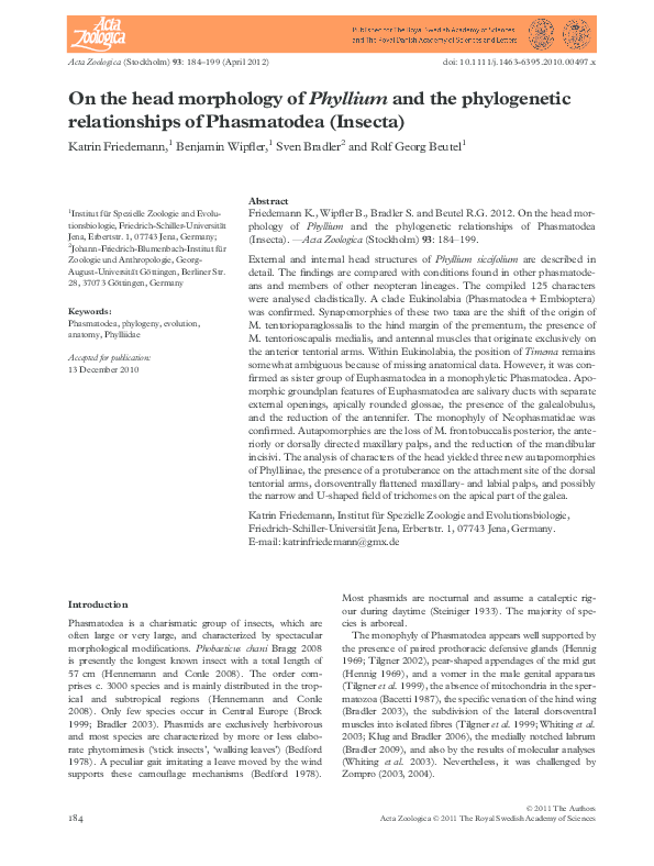 (PDF) On the head morphology of Phyllium and the phylogenetic ...
