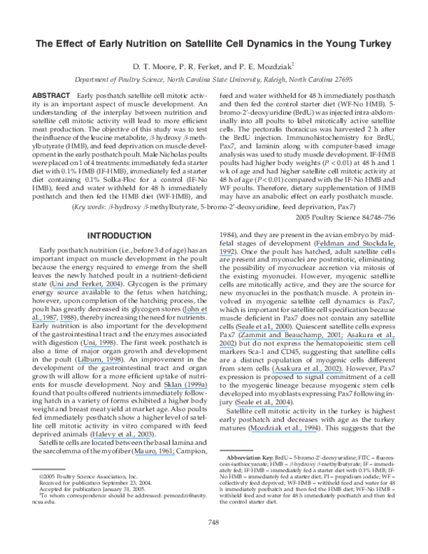(PDF) The effect of early nutrition on satellite cell dynamics in the ...