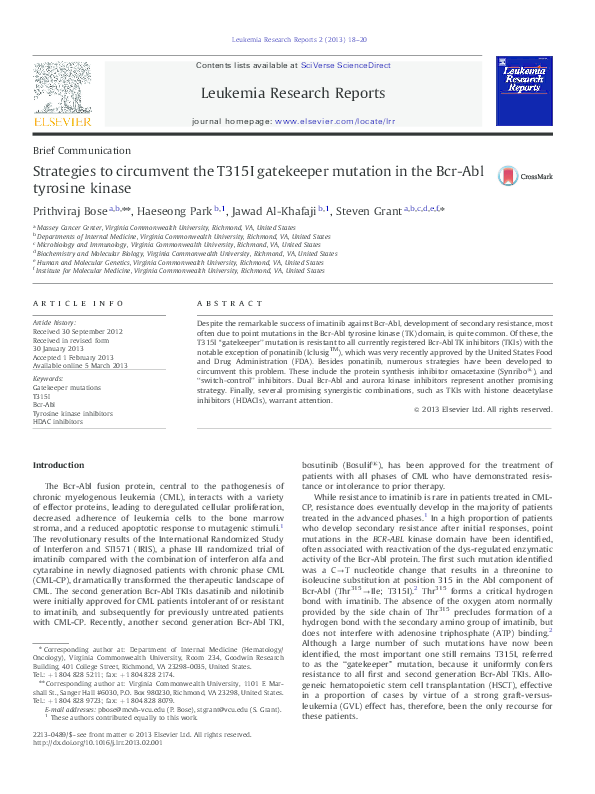 (PDF) Strategies to circumvent the T315I gatekeeper mutation in the Bcr ...