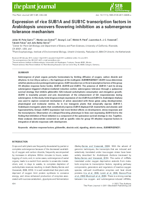 (PDF) Expression of rice SUB1A and SUB1C transcription factors in ...