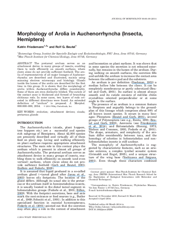 (PDF) Morphology of arolia in Auchenorrhyncha (Insecta, Hemiptera)