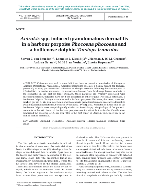 (PDF) Anisakis spp. induced granulomatous dermatitis in a harbour ...
