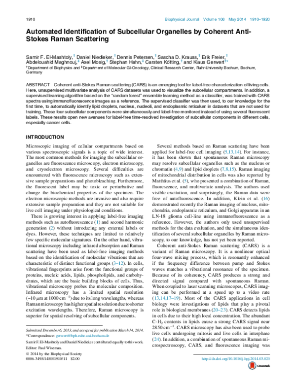 (PDF) Automated Identification of Subcellular Organelles by Coherent Anti-Stokes Raman Scattering