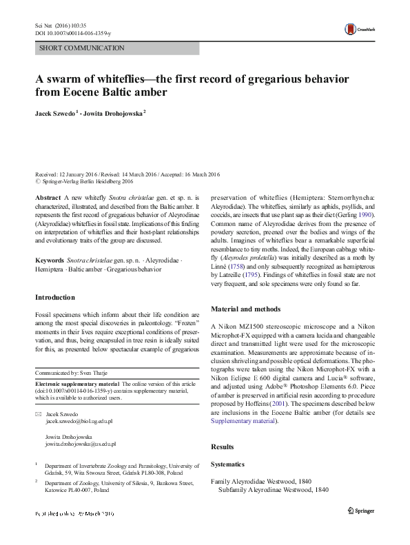 (PDF) A swarm of whiteflies—the first record of gregarious behavior ...
