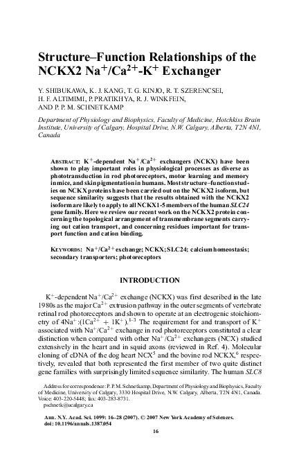(PDF) Structure-Function Relationships of the NCKX2 Na+/Ca2+-K+ Exchanger