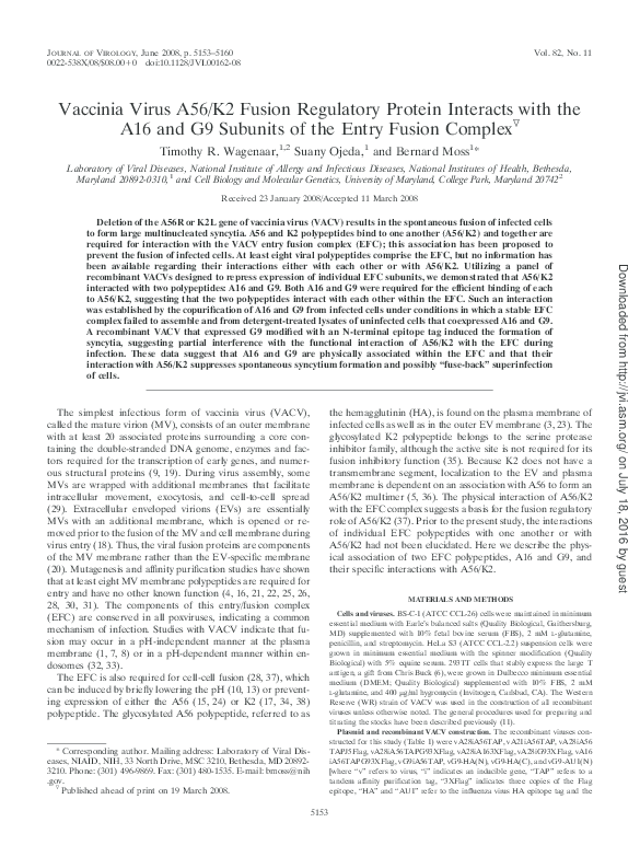 (PDF) Vaccinia Virus A56/K2 Fusion Regulatory Protein Interacts with ...