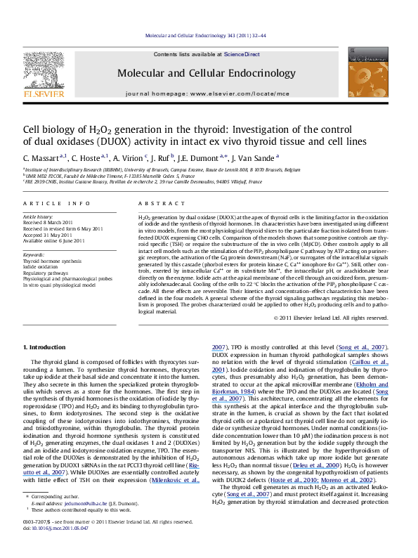 (PDF) Cell biology of H2O2 generation in the thyroid: Investigation of ...