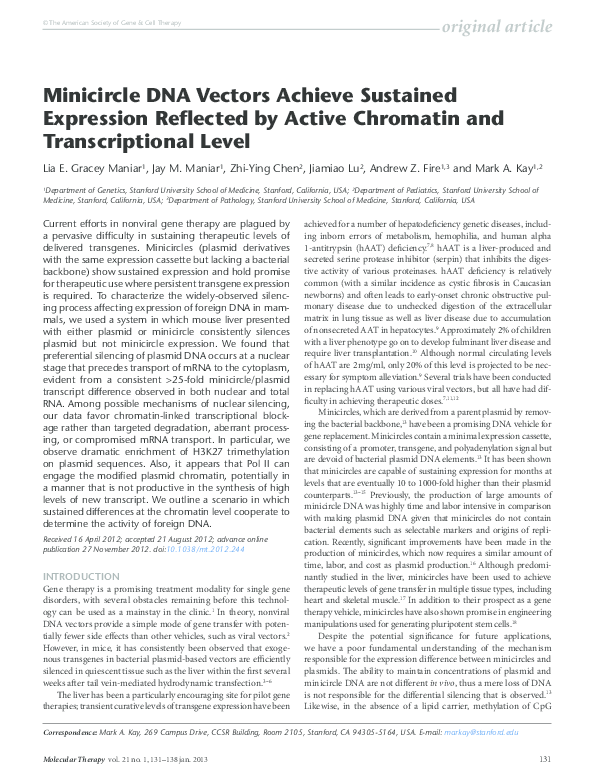 (PDF) Minicircle DNA Vectors Achieve Sustained Expression Reflected by ...