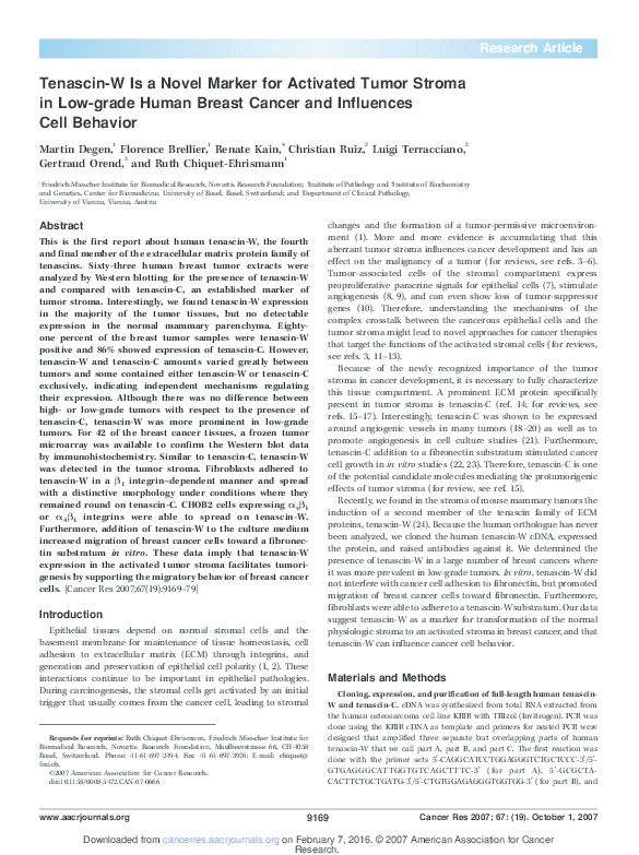 (PDF) Tenascin-W Is a Novel Marker for Activated Tumor Stroma in Low ...