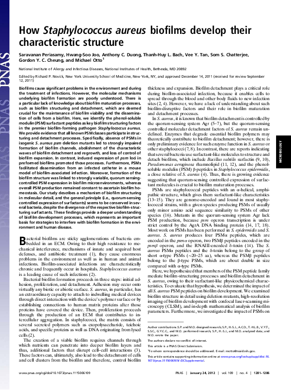 (PDF) How Staphylococcus aureus biofilms develop their characteristic structure