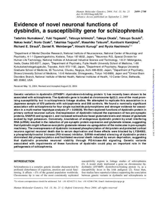 (PDF) Evidence of novel neuronal functions of dysbindin, a ...