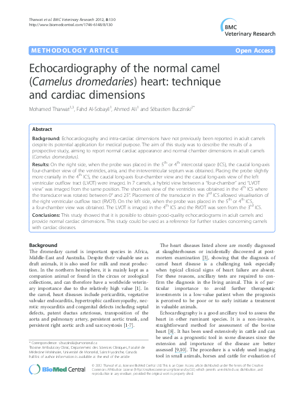 Echocardiography of the normal camel (Camelus dromedaries) heart ...
