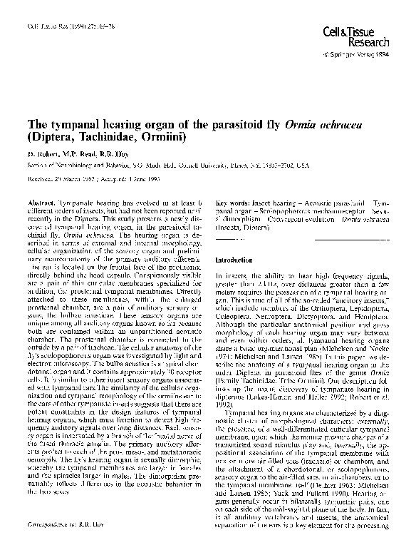 (PDF) The tympanal hearing organ of the parasitoid fly Ormia ochracea ...