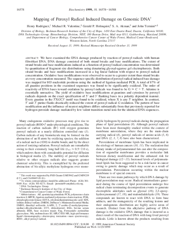 (PDF) Mapping of Peroxyl Radical Induced Damage on Genomic DNA