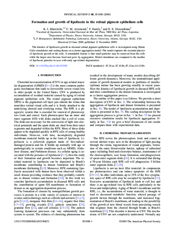 (PDF) Formation and growth of lipofuscin in the retinal pigment ...