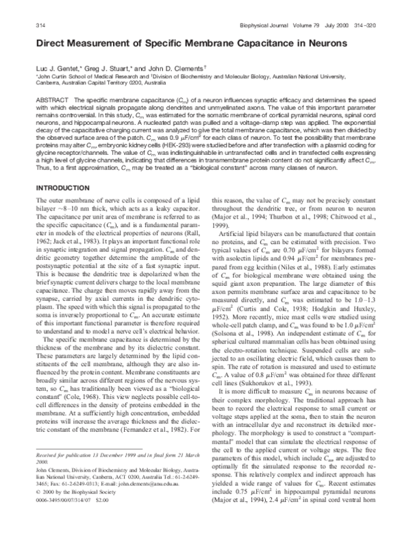 (PDF) Direct Measurement of Specific Membrane Capacitance in Neurons