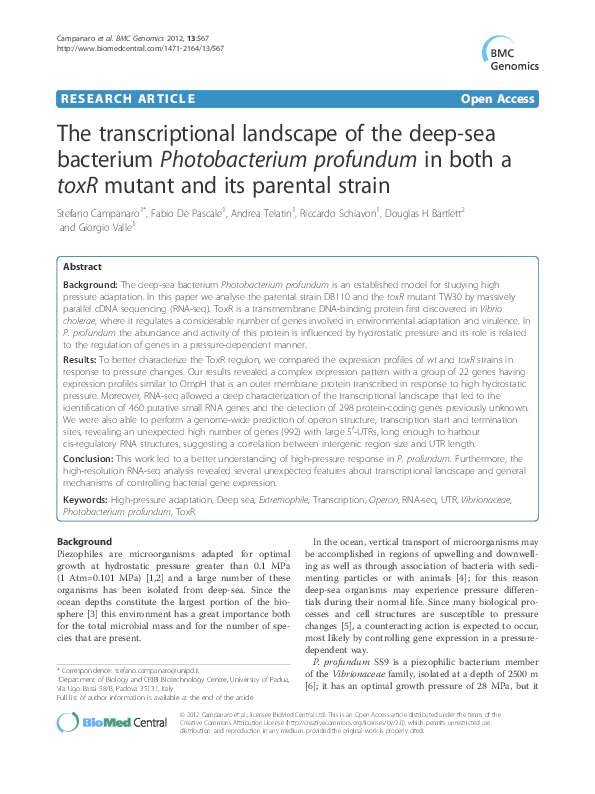 (PDF) The transcriptional landscape of the deep-sea bacterium ...